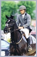 Showjumping coaching, livery, Esher Surrey